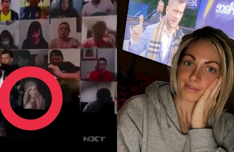 WWE Recycling ThunderDome Virtual Fan Footage - WEB IS JERICHO