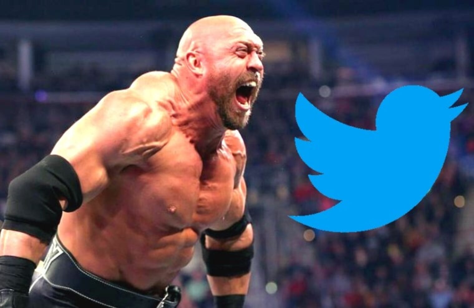 Ryback Tweets Twitter CEO After Verification Request Declined - WEB IS ...
