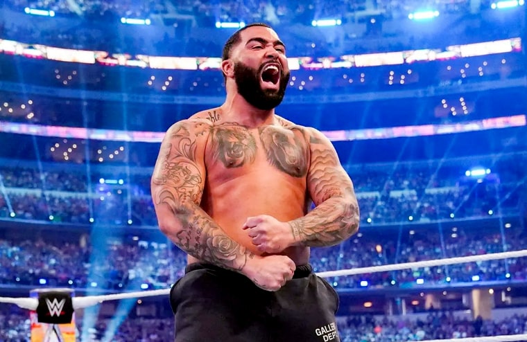 Gable Steveson's Pro Wrestling Career Currently Not Meeting WWE's ...