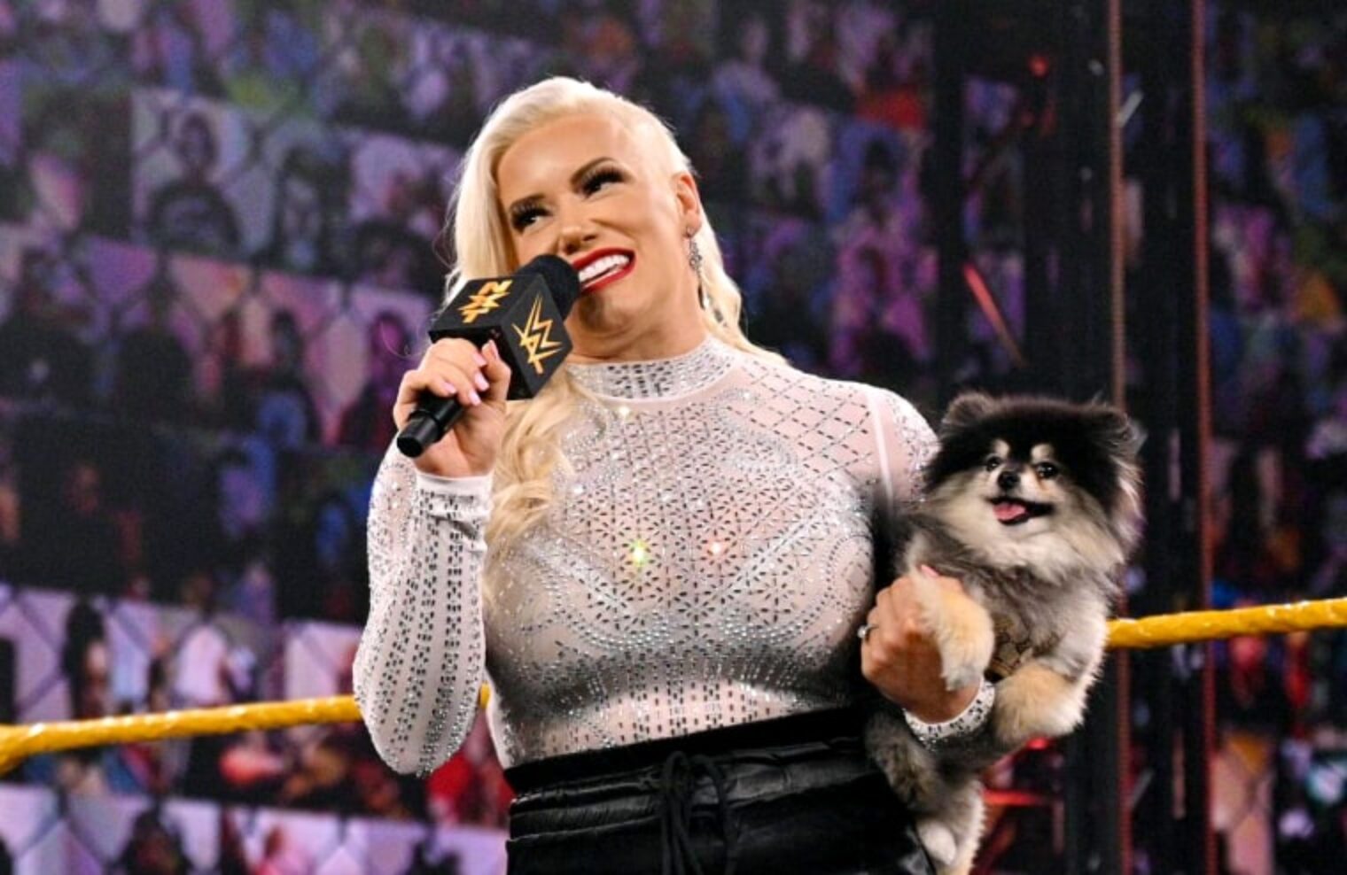 Taya Valkyrie Is Reportedly Heading To Major Promotion - WEB IS JERICHO