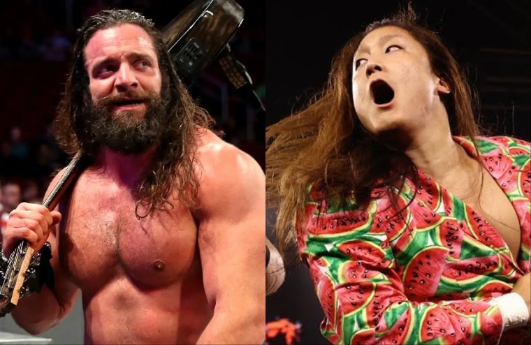 Complete List Of WWE Talents Released With More Names Revealed ...