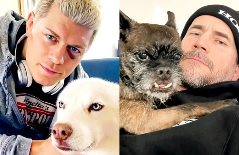 Cody Rhodes Comments On CM Punk's Dog Larry Being A Top Merchandise ...