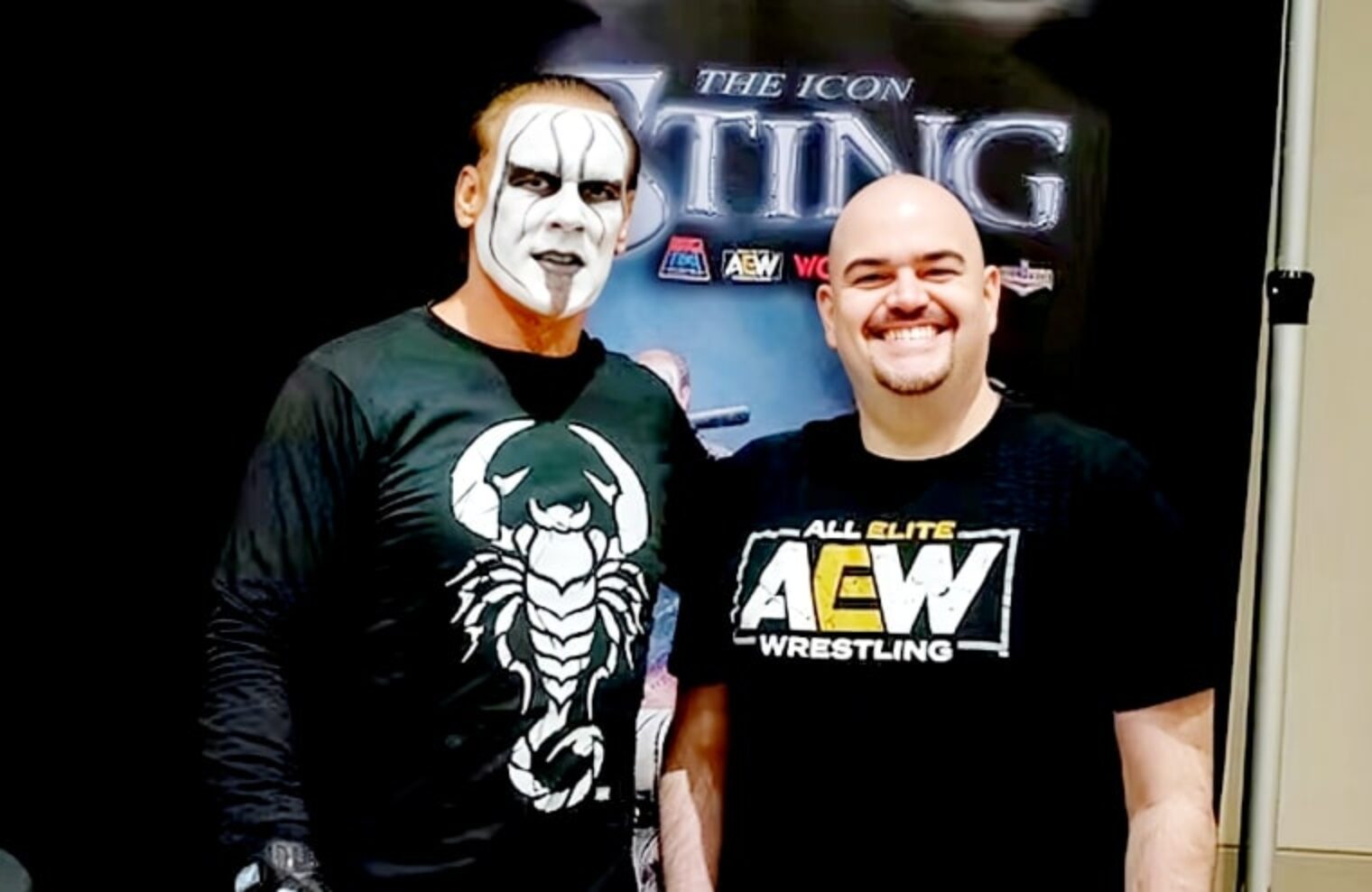 Sting Shows Off His New Beard Just Days After Making Convention ...