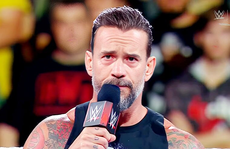 CM Punk Explains Why He Has Embraced His Gray Look – WEB IS JERICHO