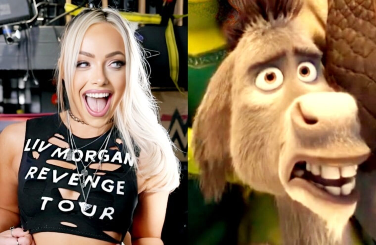 Liv Morgan Shares Her Disdain For Donkey's Liv Morgan Shares Her Disdain For Donkey's