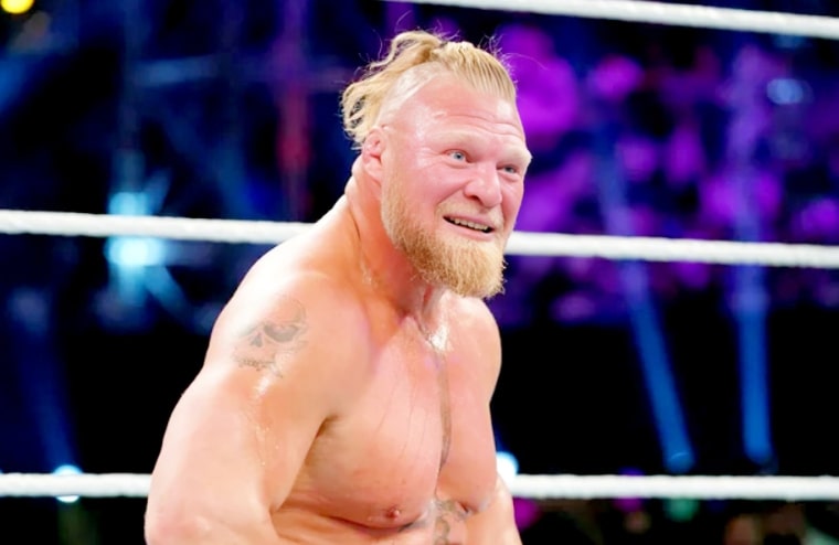 Fan Reveals What Brock Lesnar Told Him About The Status Of His Wrestling Career - WEB IS JERICHO