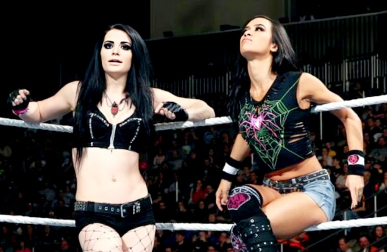 Saraya Reacts To The Return Of Her Former Rival AJ Lee - WEB IS JERICHO
