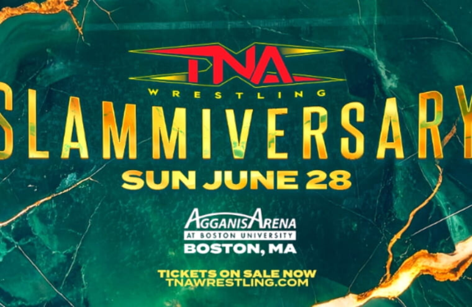 X-Division Icon Returning To TNA At Slammiversary 2026 – WEB IS JERICHO